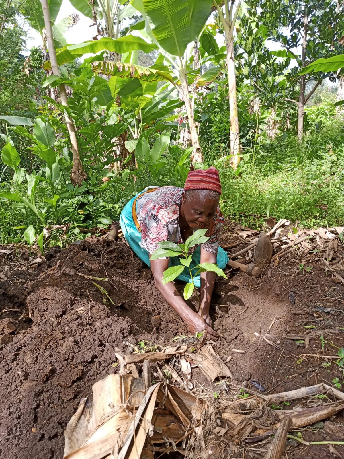 VC Partners Mark Africa Environment & Wangari Maathai Day in Uganda ...